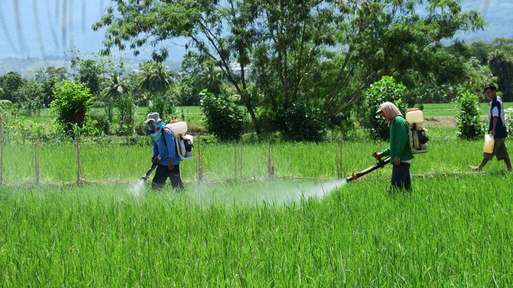 Glyphosate: Monsanto has to pay millions for damage - Global Change Ecology