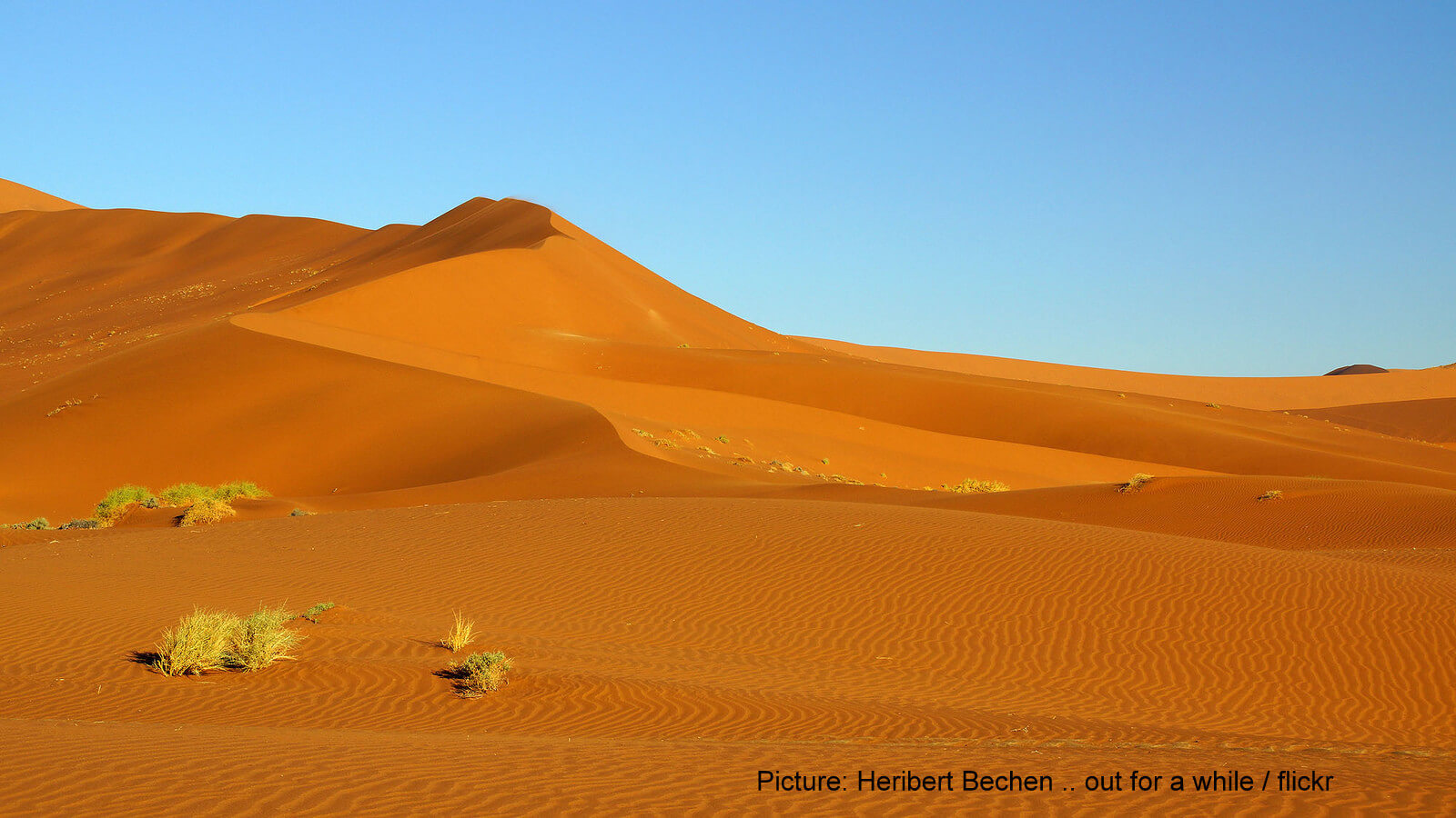 Blog-Journal: Excursion to Namibia - Global Change Ecology