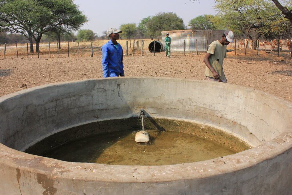 5000 hectares for 300 cows: Commercial farming in Namibia - Global ...