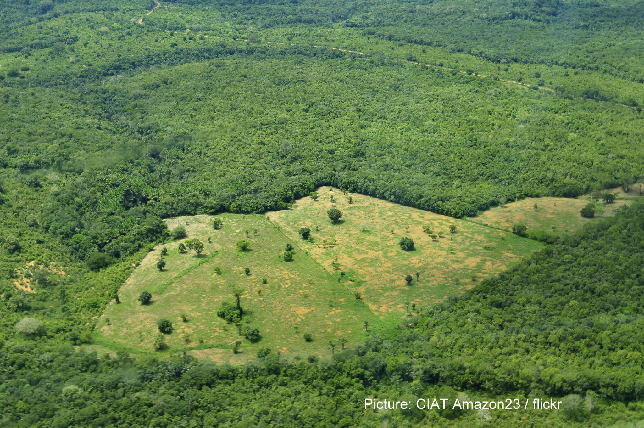 Guardians of the Amazon - Global Change Ecology
