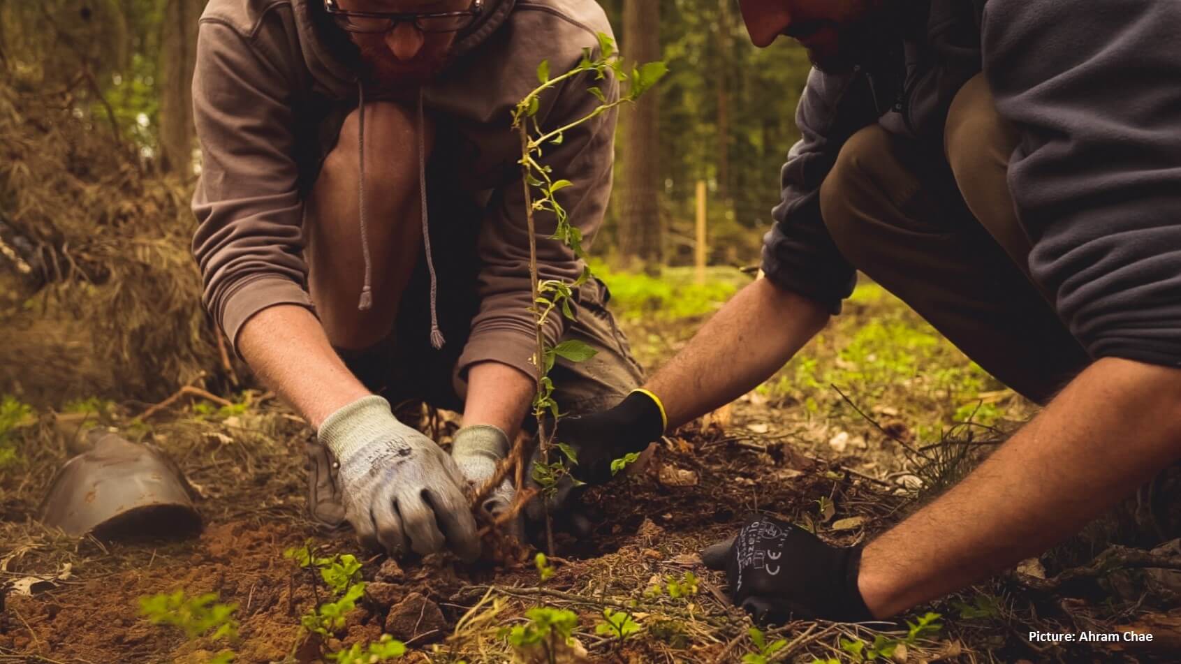 „Klimawald“ - Climate tolerant forests - Global Change Ecology