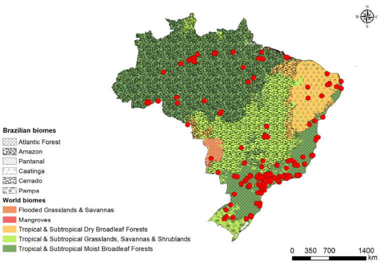Brazilian Biomes: Intro Series - Global Change Ecology